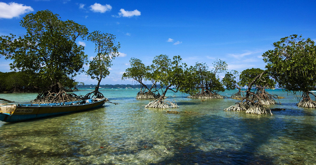 Scuba Diving in India - Explore Top 7 Underwater Dive Spot